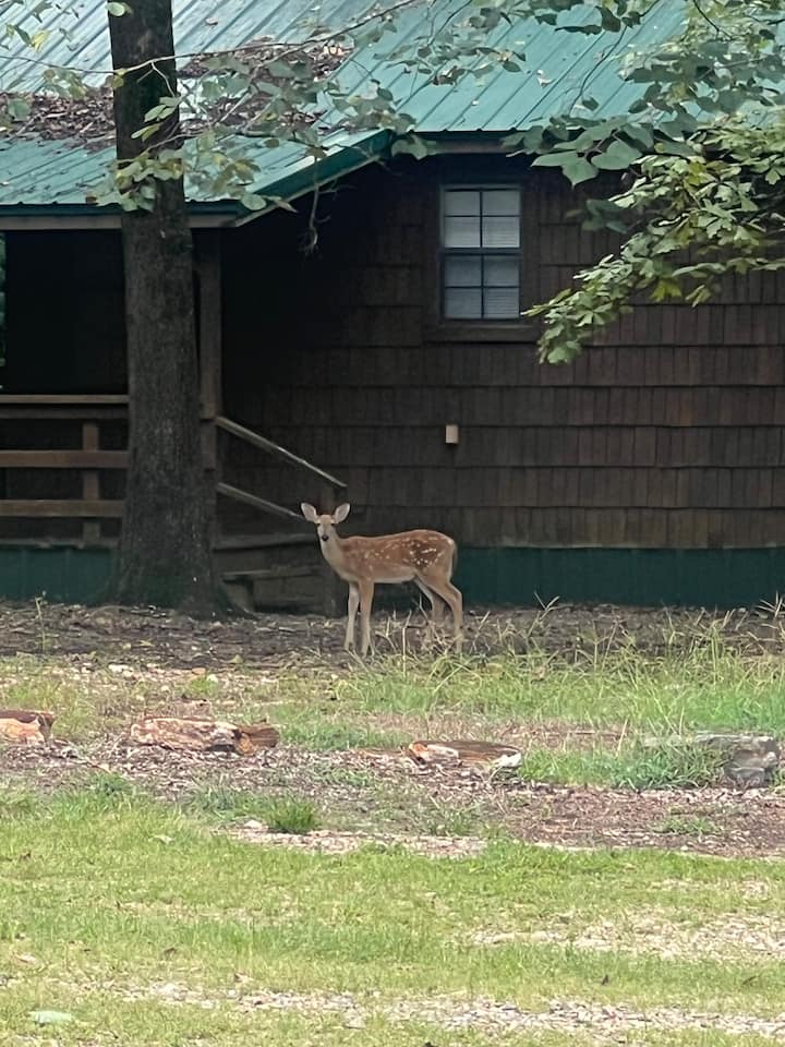 Whispering Canes - Hochatown, OK