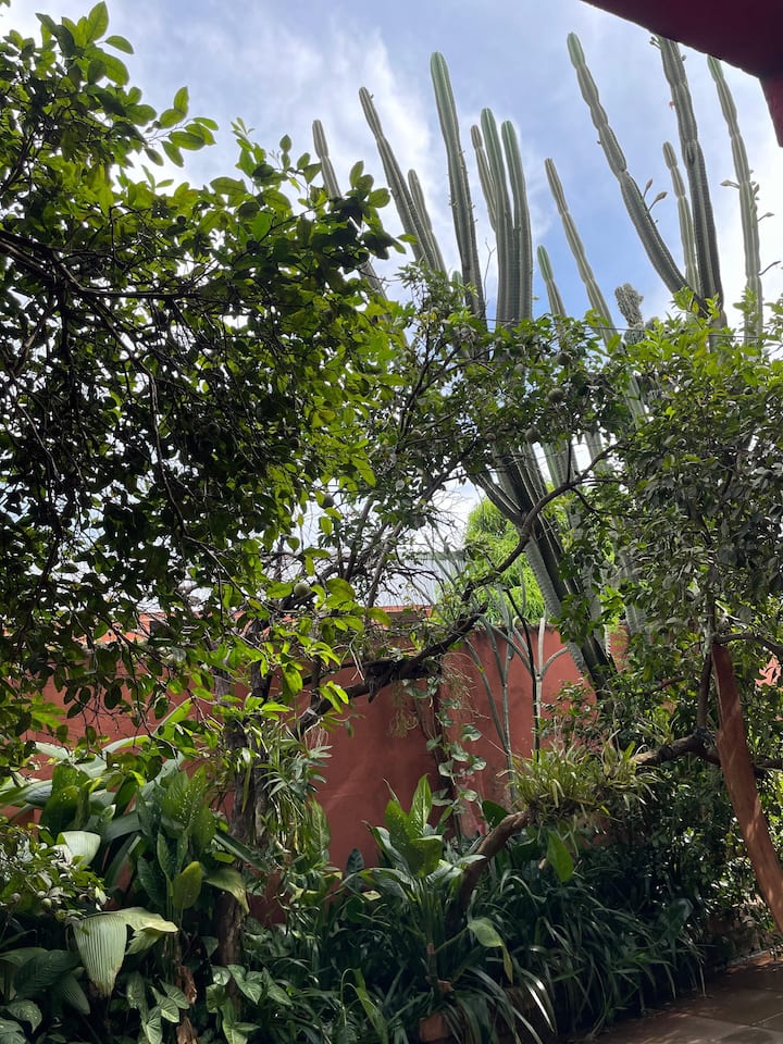 Ven Y Disfruta Del Paisaje - Puerto Iguazú