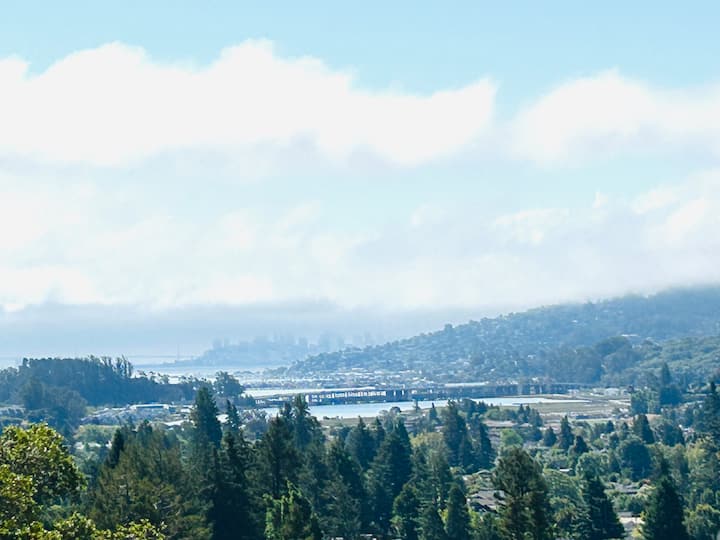 Sf Skyline Views + Walk To Town - Mill Valley, CA