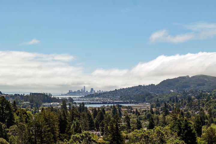 Sf Skyline Views + Walk To Town - Mill Valley, CA