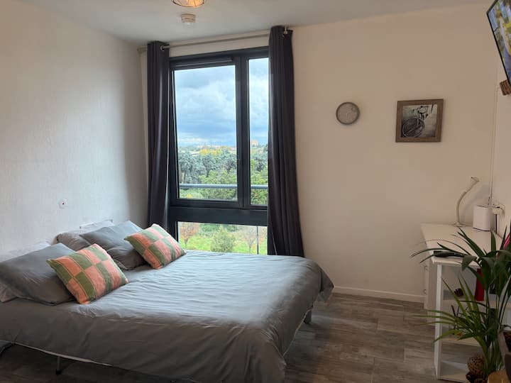 Charmant Studio - Avignon