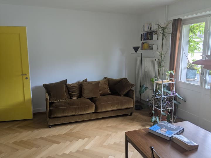 Guest Room Kleinbasel - Basel