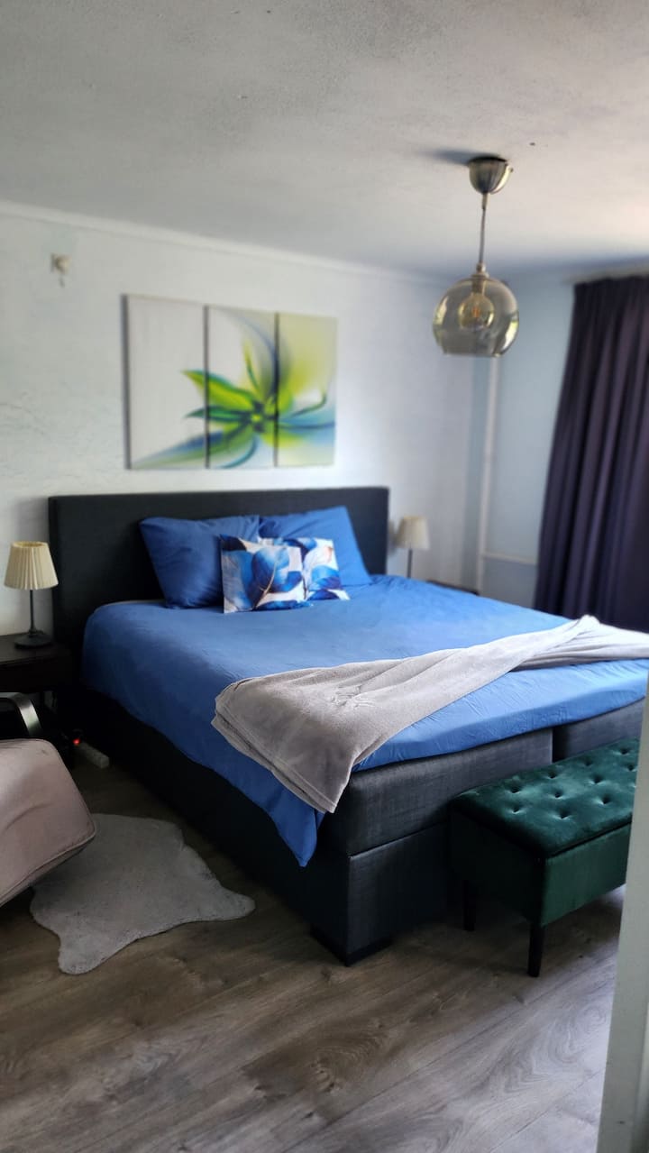 One Bedroom With Entire House - Middelharnis