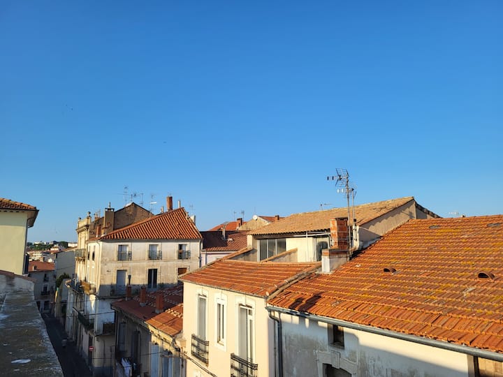 Appartement De Caractère Avec Toit Terrasse - Béziers
