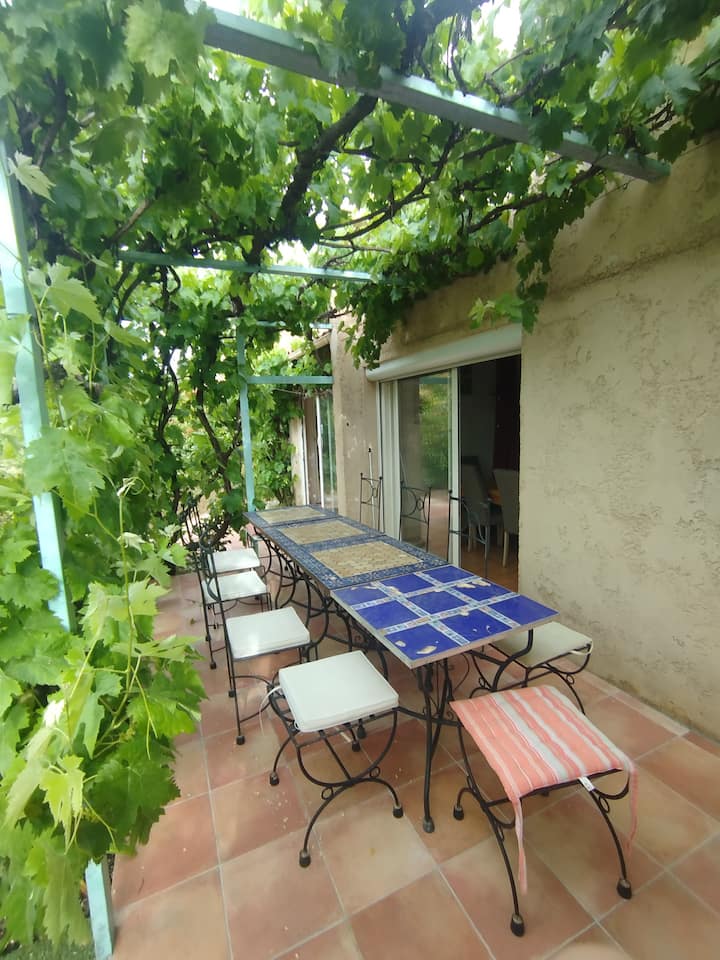 Les Agaves - Les Salles-sur-Verdon