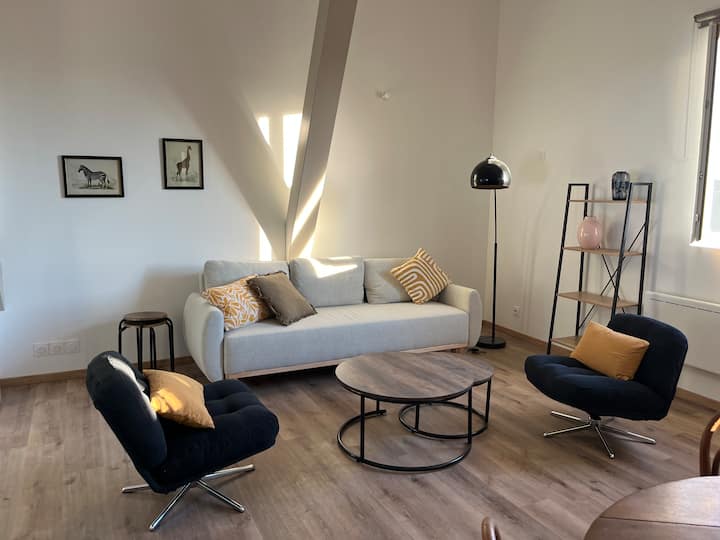 Charmant Appartement Centre Ville Place Du Marché - Valence