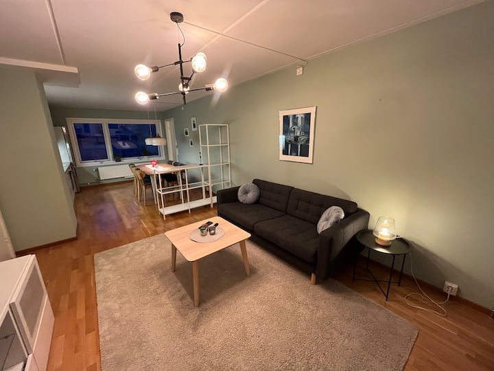 Sentralt Og Moderne Ved Løkka - Oslo