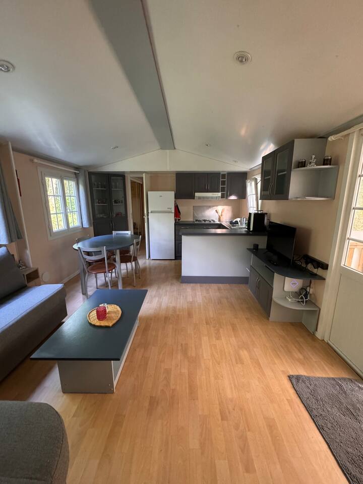 Logement Du Grand Moulin - Biscarrosse