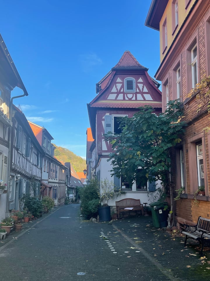 Privatzimmer Im Kulturdenkmal - Bensheim
