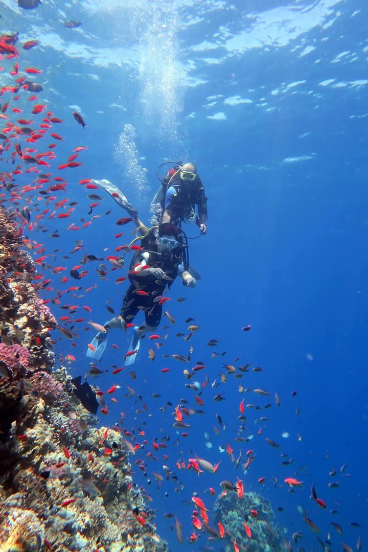 Amazing Sea View - Sharm El-Sheikh