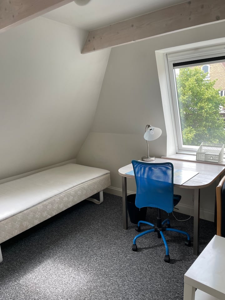 Værelse Nr 3 Udlejes I Odense C - Odense