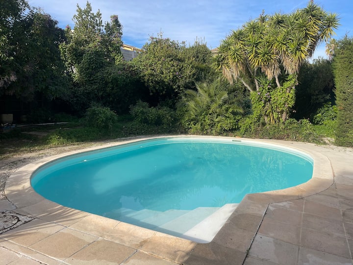 Pool And Garden - Antibes