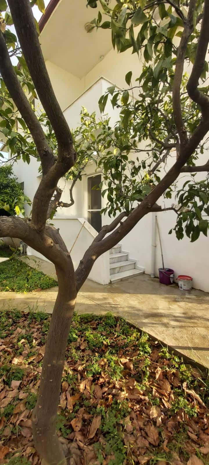 Kiralık Yazlık - Ören