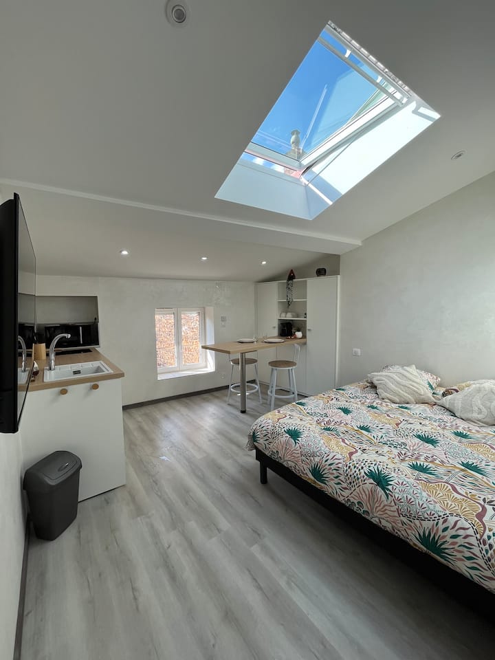 Studio Cosy Proche Gare, Climatisé - Mâcon