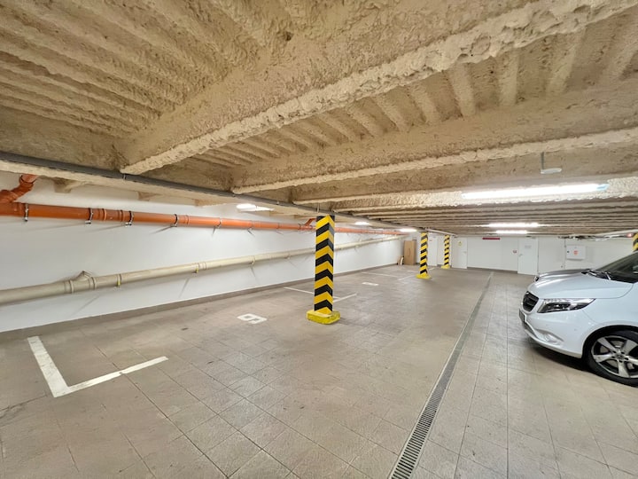 Karlin Apt With The Free Garage - Praag