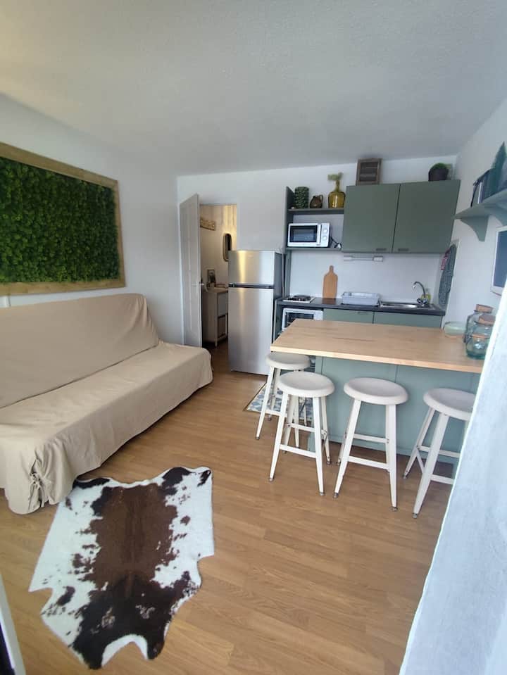 Studio 4/5 Couchages Aux Pieds Des Pistes Albiez - Saint-Jean-de-Maurienne