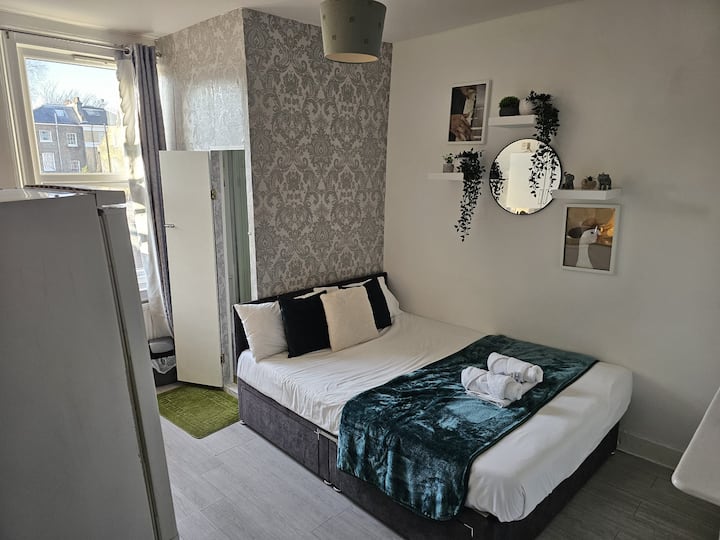 Studio Flat In Se17 - London