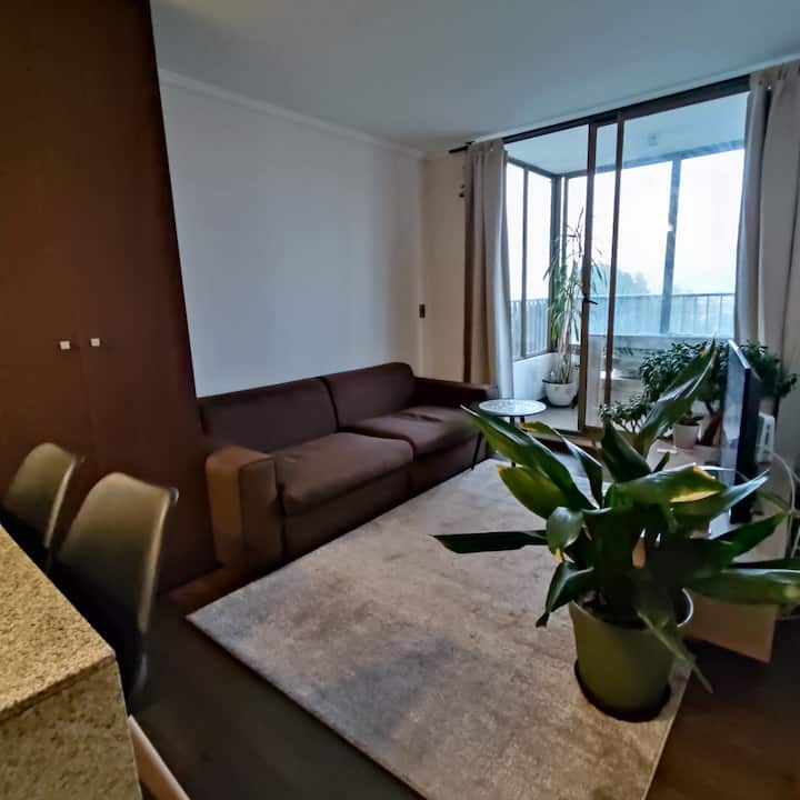 Departamento, Con Vista A Parque - Concepción, Chile