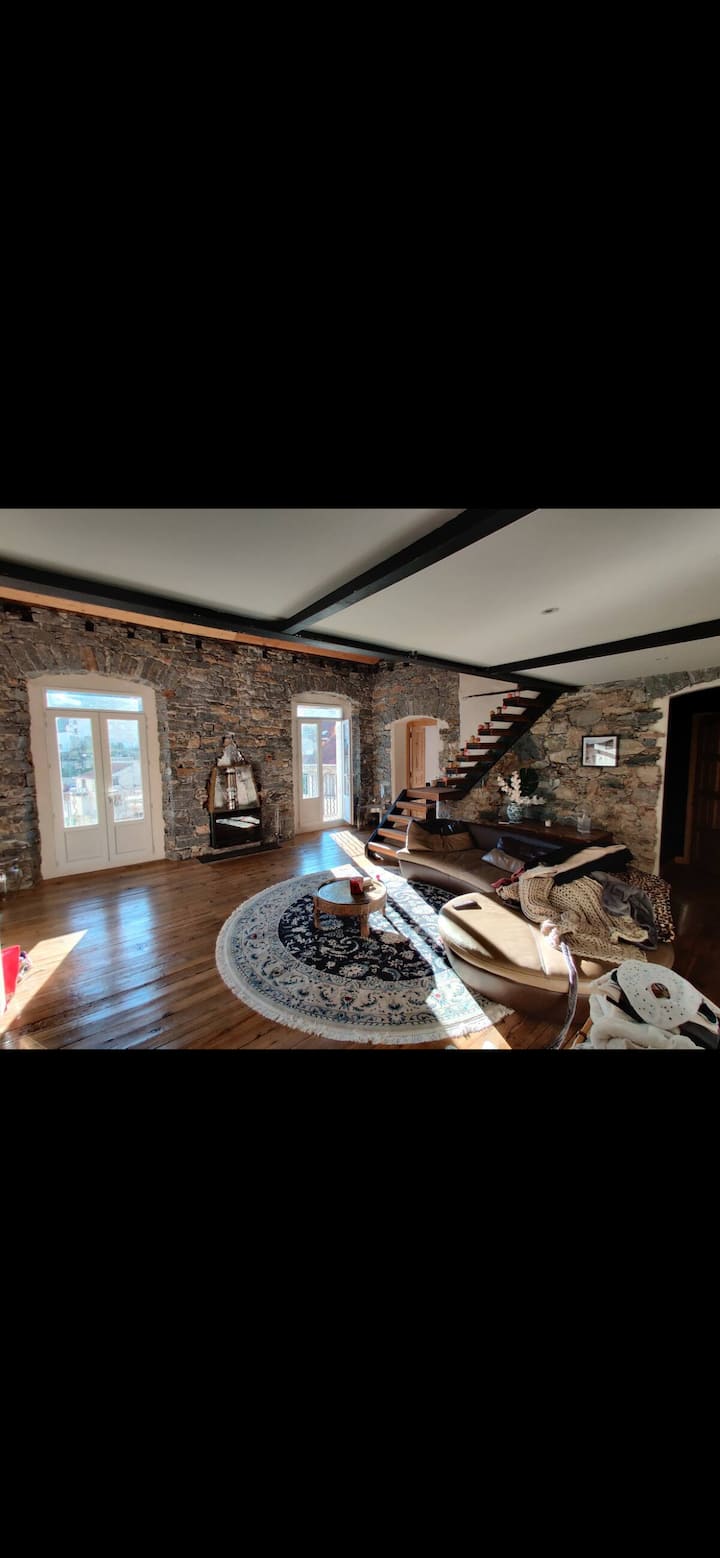 Appartement De Standing Rénové - Corte