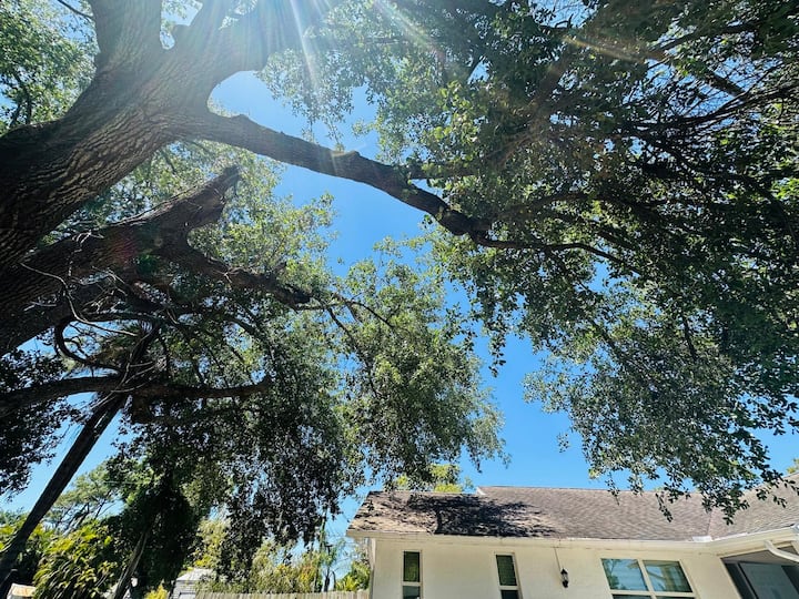 Cozy 3br House /Fort Myers/pool/near Wcoast Beachs - North Fort Myers, FL