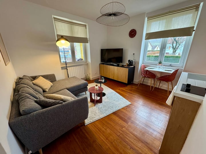 Appartement Cosy • Route Des Vins • Proche Colmar - Colmar