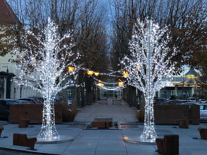 Au Cœur De La Ville - Romans-sur-Isère