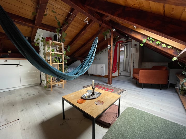 Cozy Attic Apartment - Basel