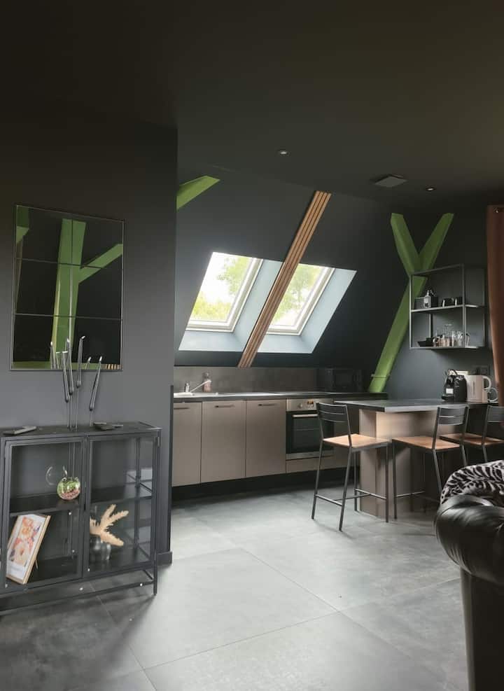 Escale Sauvage, Duplex De Luxe Aux Gites Du Moulin - Geispolsheim