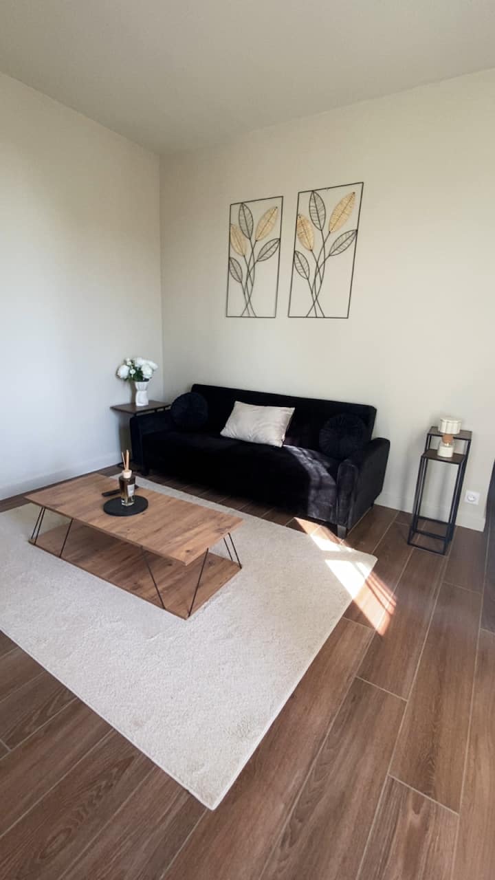 Loire & Centre-ville à Pied - Blois