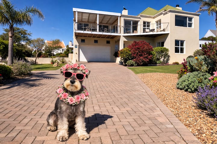 Coastal Haven - Morning Brews, Views & Pet Crews - Langebaan