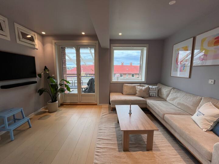 Leilighet I Gamle Oslo - Oslo