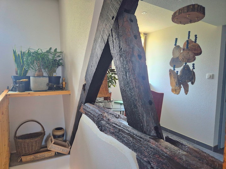 Stein House & Garden - Altkirch