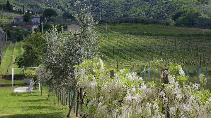 Casa Viva La Toscana - Italie