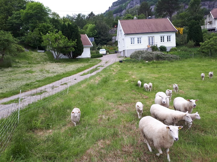 Landlig Og Koselig Sørlandshus - Langeland