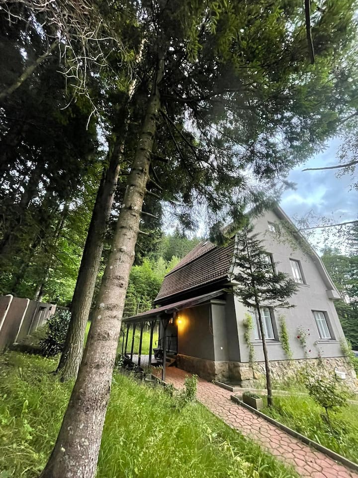 Luxurious Villa Near Sky Slope Semmering - Austria