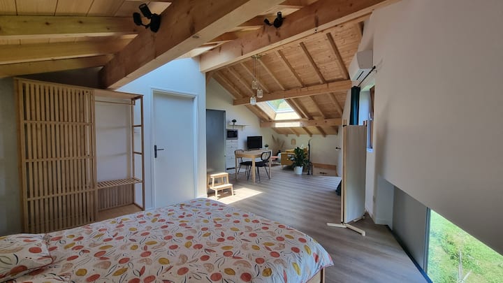Grand Studio Neuf Avec Vélos - Douvaine