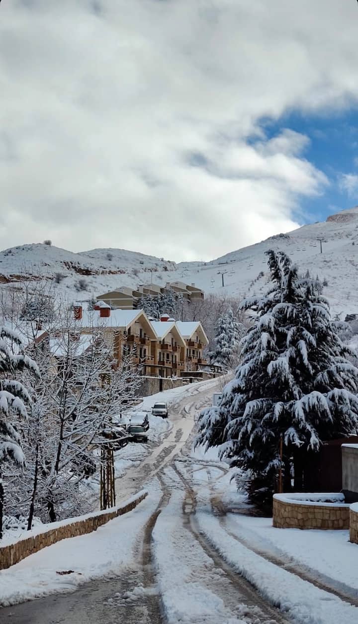 Private Villa- Zaarour Club - Lebanon