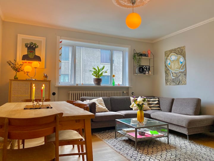 Cozy Apartment In City Center - 雷克雅維克