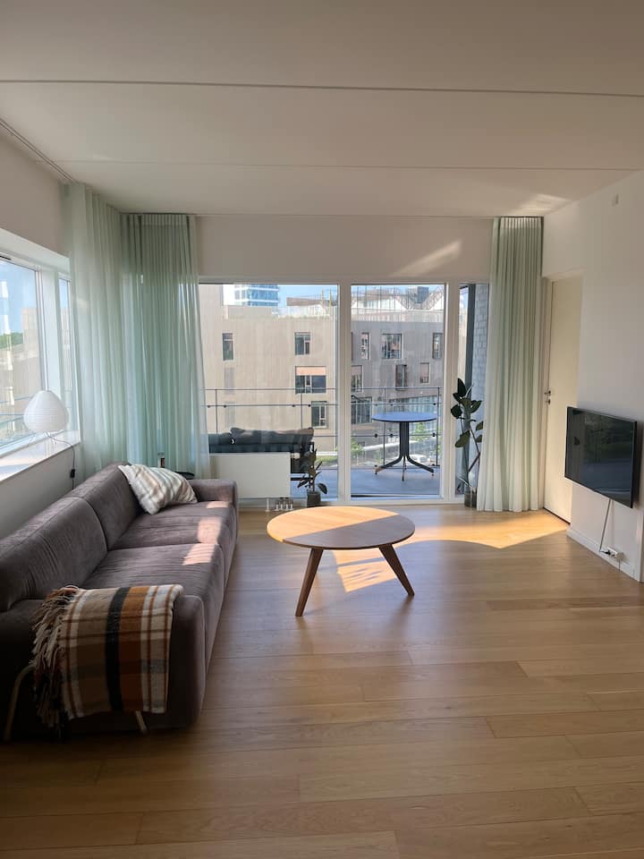 Lys, Hyggelig Central Lejlighed - Copenhagen