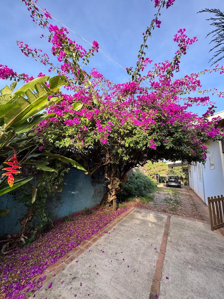 Quarto Arejado 1 Cama De Casal - Piracicaba