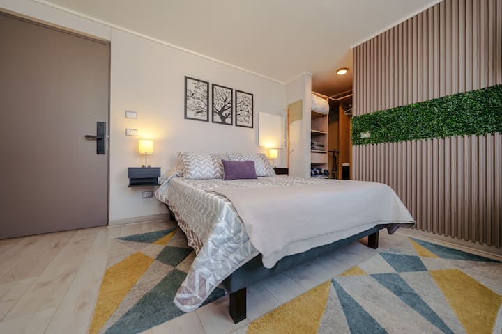 Moderno 1d |Wifi| Walking Closet| Gym Y Sala Común - Macul