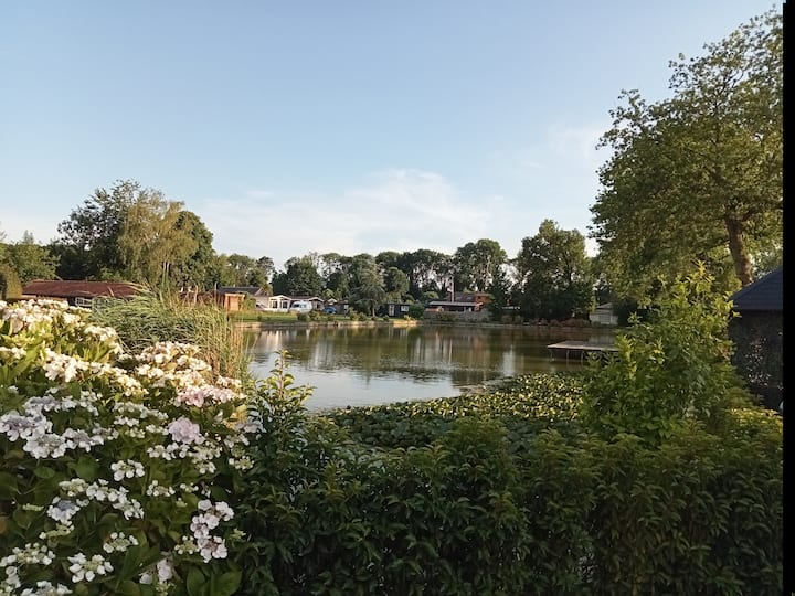 Vijverzicht, Polder, Stad En Natuur. - Maarssen