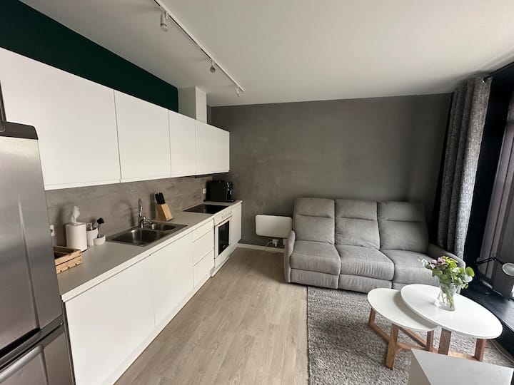 Cozy Little Apartment In ÅLesund - Alesund
