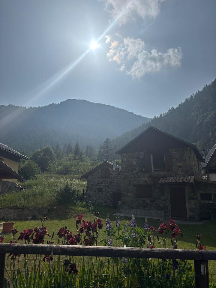 Chalet De Montagne Paisible - Lac de Fenestre