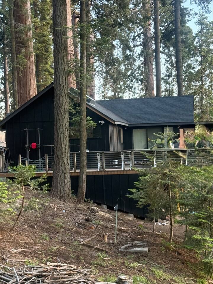 Sequoia Sanctuary Cabin & View - Camp Nelson, CA