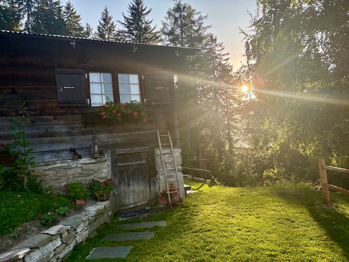 Romantische Alphütte Im Wallis / Ruhe Und Natur - Fiesch