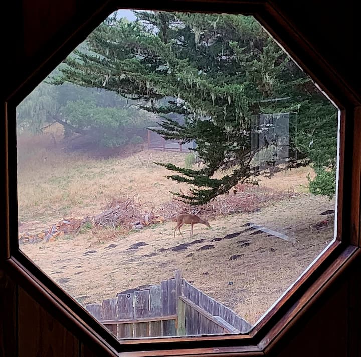 Mountain View Retreat Cozy Fireplace • Ev+ Kingbed - Cambria, CA