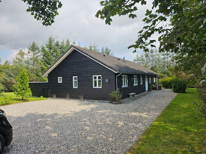 Moderne Træhus Med Stor Terrasse I Rolig Landsby - Denmark