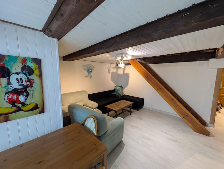 Appartement Complet, Rénové Plein Centre-ville. - Remiremont