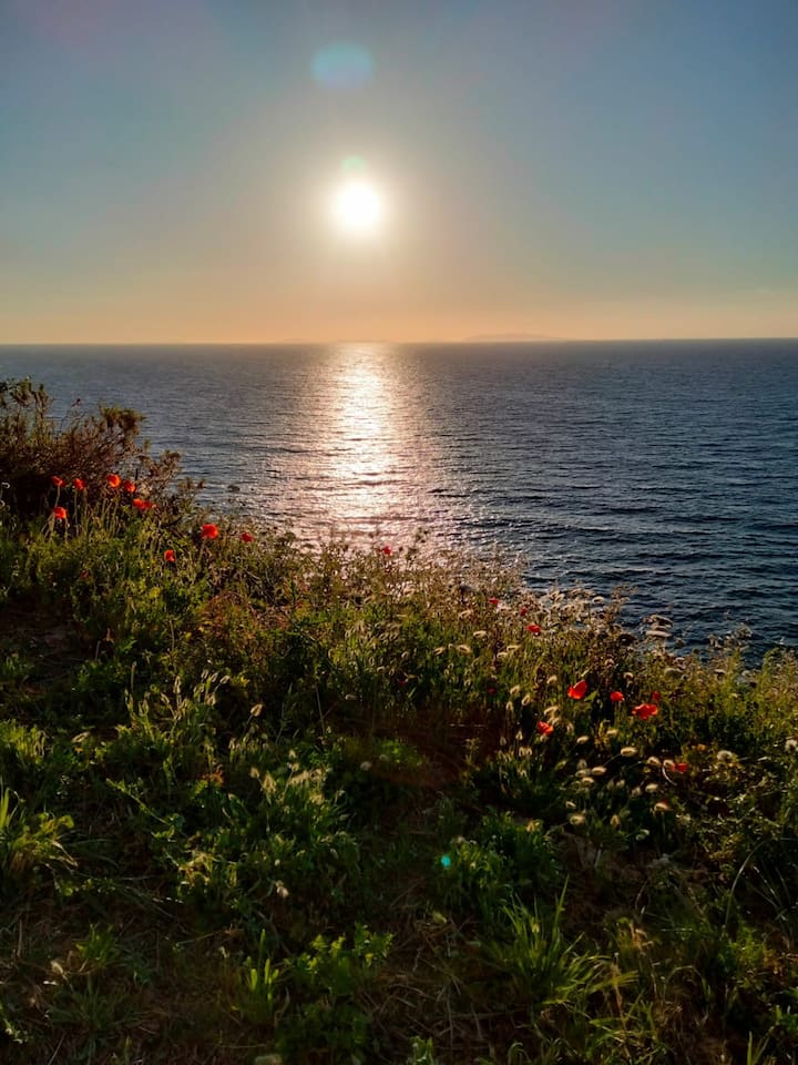 Casa Vacanze "Il Galeone" Sardegna - Castelsardo